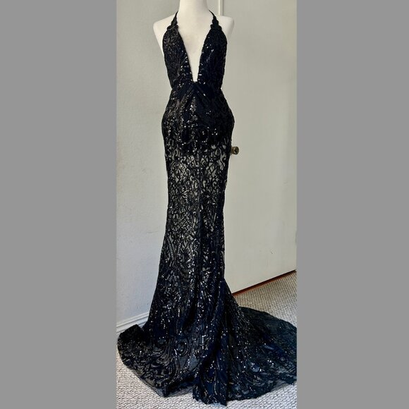 ALAMOUR | Dresses | Alamour Maxi Fishtail Mermaid Sheer Lace Sequin ...